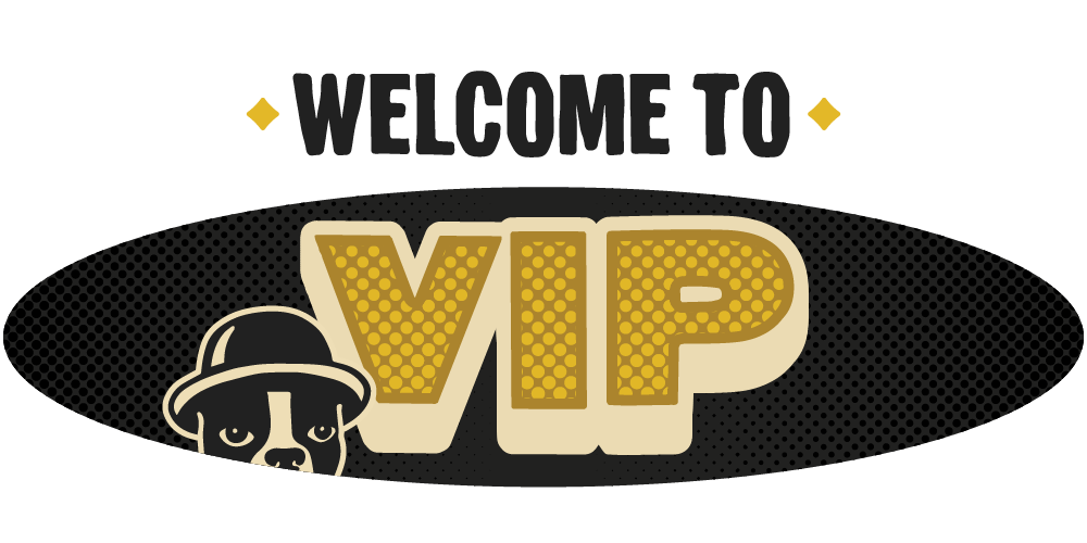 VIP Welcome Guide – Boston Calling